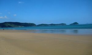 Explore The Calming Area Of Wando County | 10 Magazine Korea