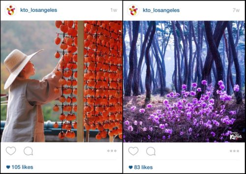 10 Awesome Korean Instagram Feeds to Follow Now
