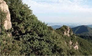 19 Breathtaking Hikes Into The Korean Mountains
