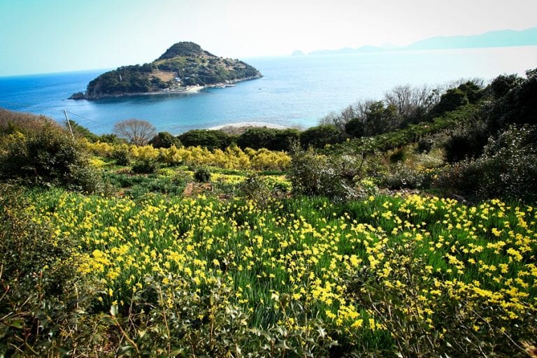 How To See The Best Places Of Geoje Island In 3 Days - 10mag.com