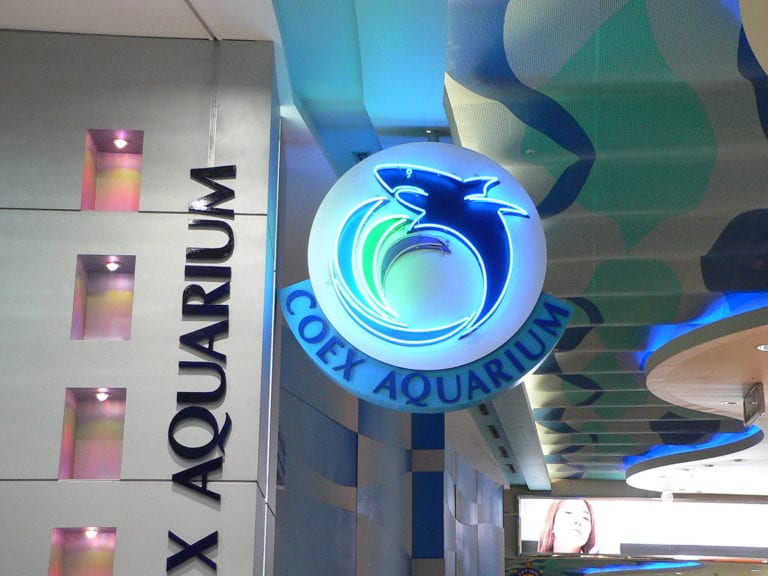 7 Fascinating Aquariums In South Korea To Explore - 10mag.com