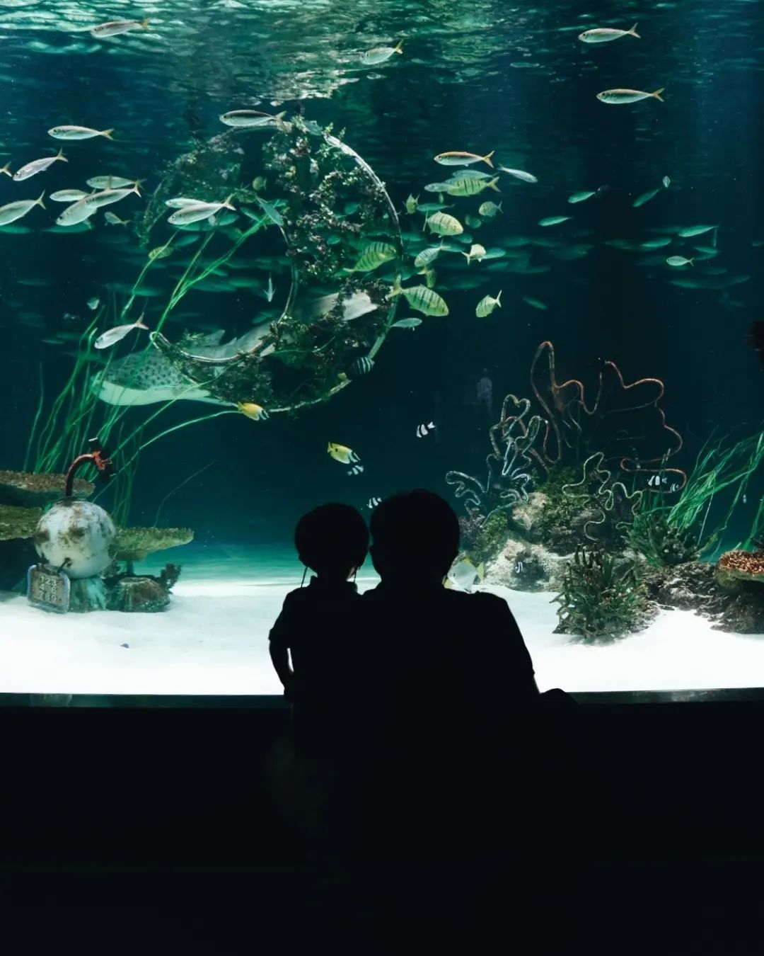 7 Fascinating Aquariums In South Korea To Explore | 10 Magazine Korea