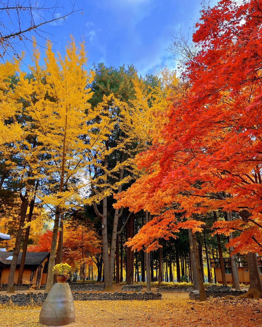 11 Great Things to Do in South Korea This Fall | 10 Magazine Korea